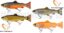 Savage 3D Pulsetail Trout 16cm 51g - Fawcetts Online